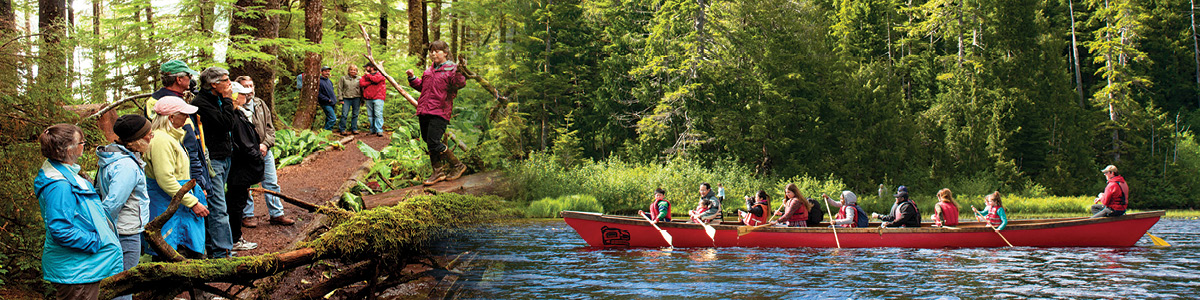Rainforest Canoe & Nature Trail – Alaska Travel Adventures